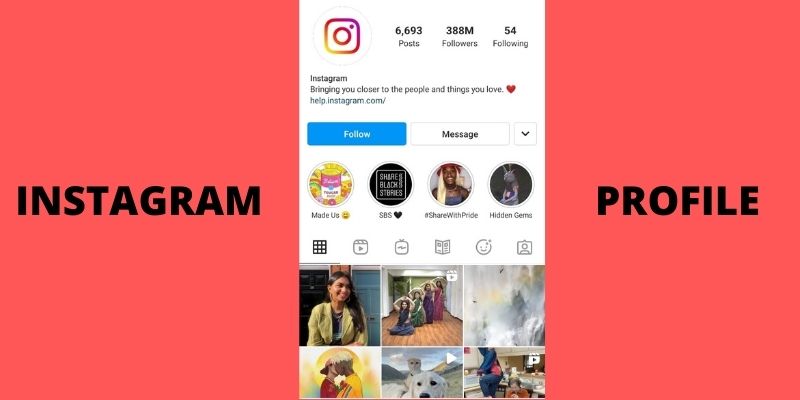 15 Effective Strategies To Promote Your Business On Instagram | SEO-Alien